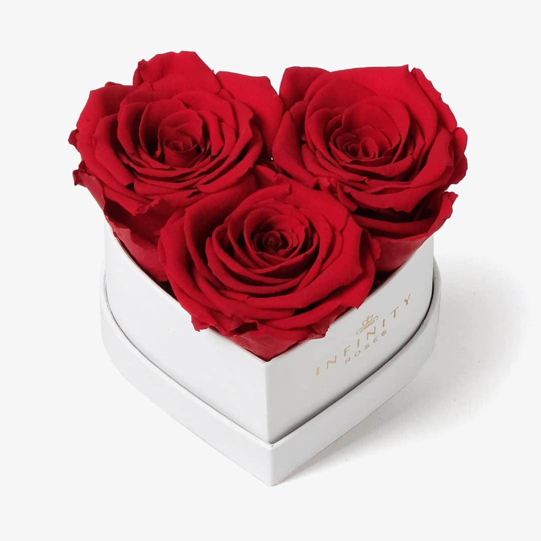 Shop Our Forever Roses In A Box | Next Day Delivery Available ...