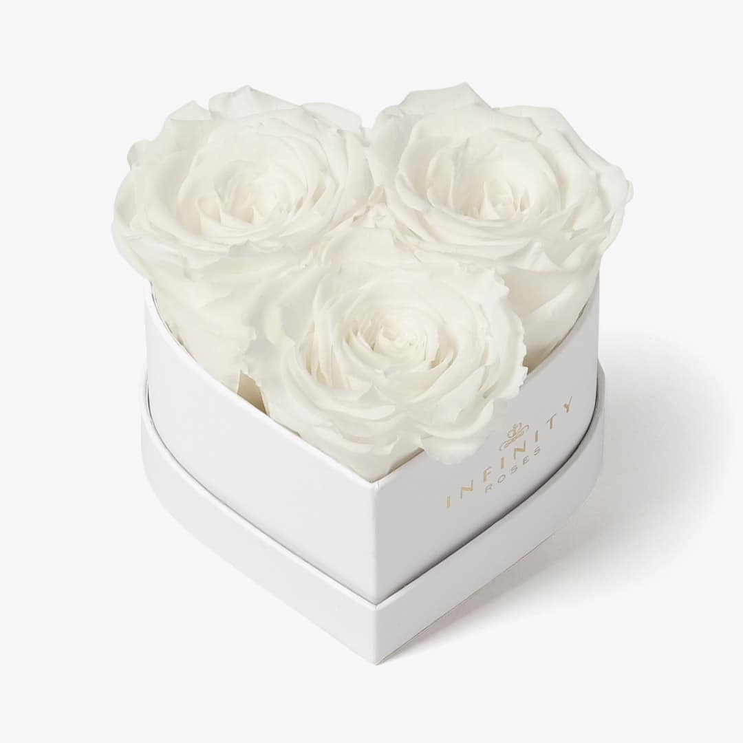 Shop Our Forever Roses In A Box | Next Day Delivery Available ...